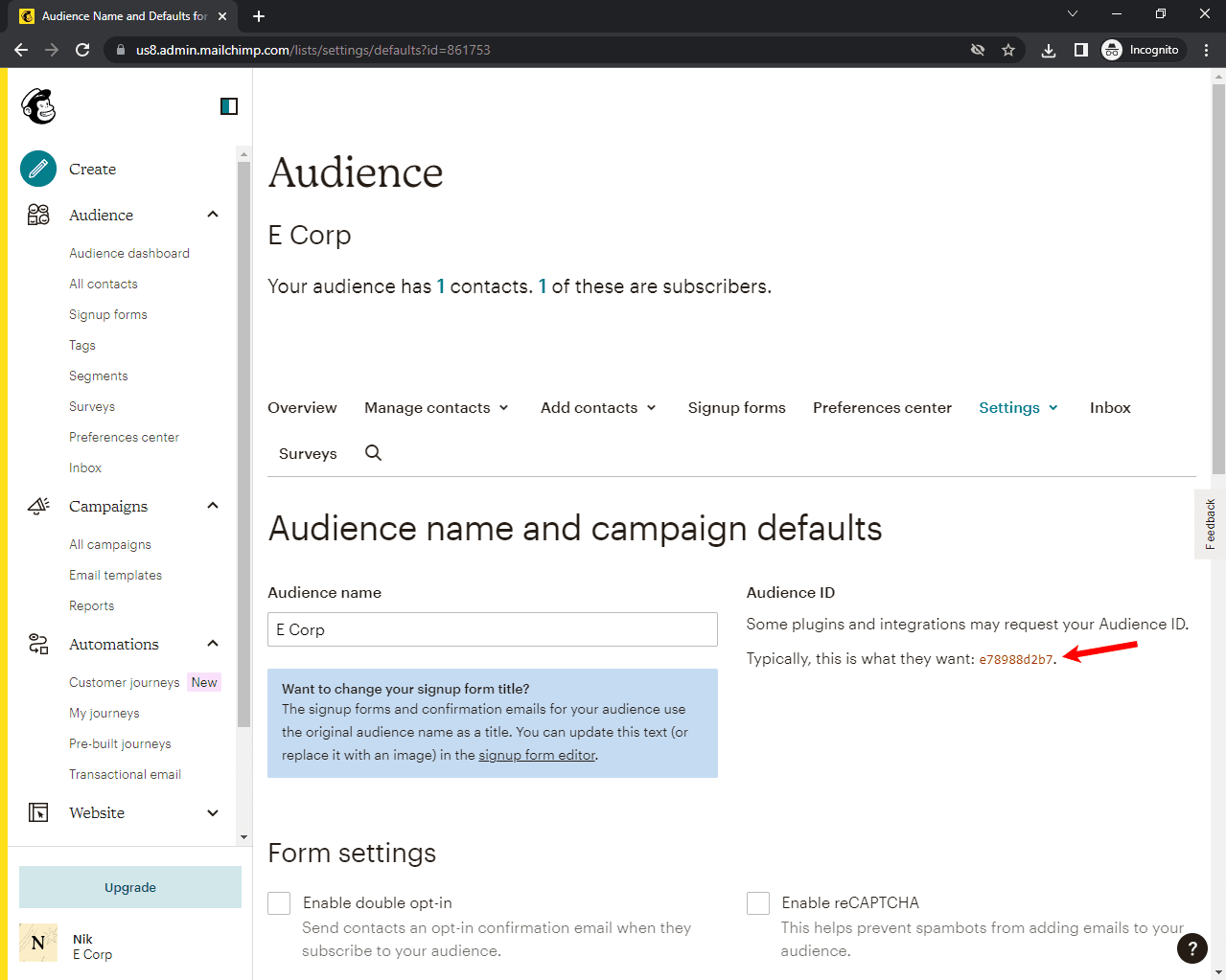 Mailchimp - audience