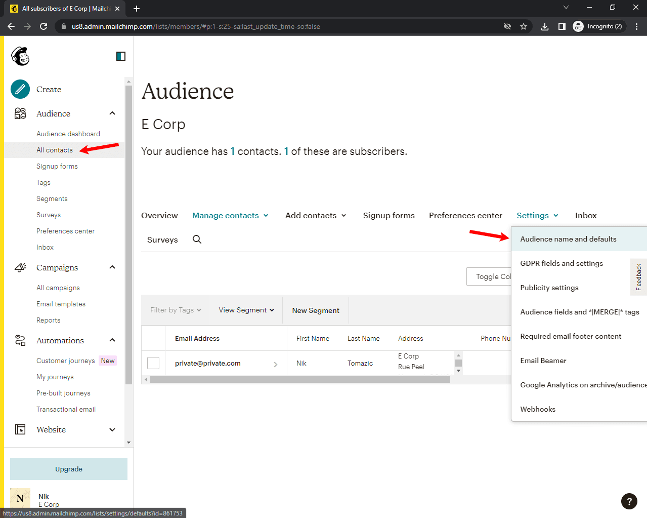 Mailchimp - All contacts